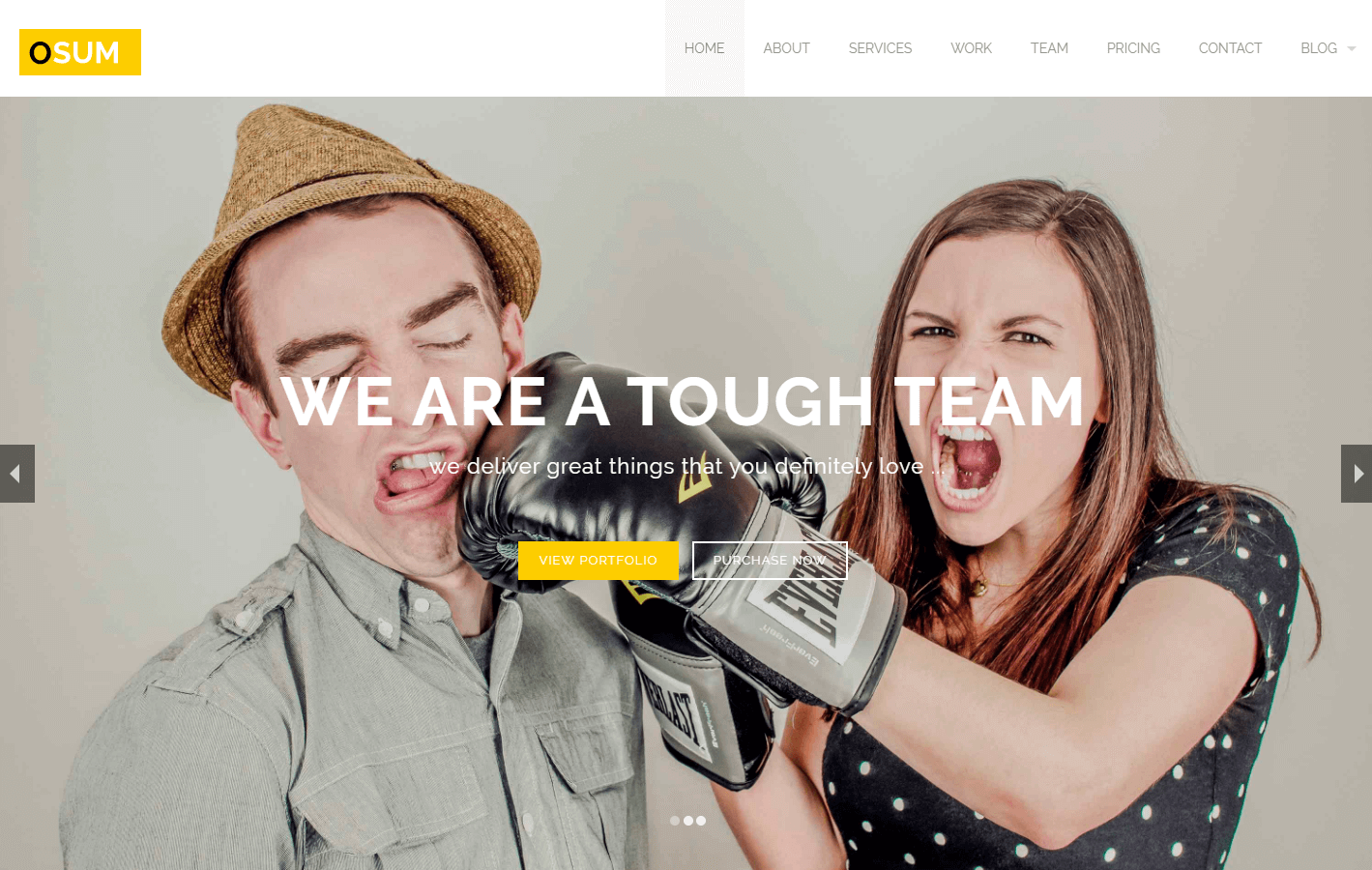 Las 15 mejores temas y plantillas para construir un sitio web ...